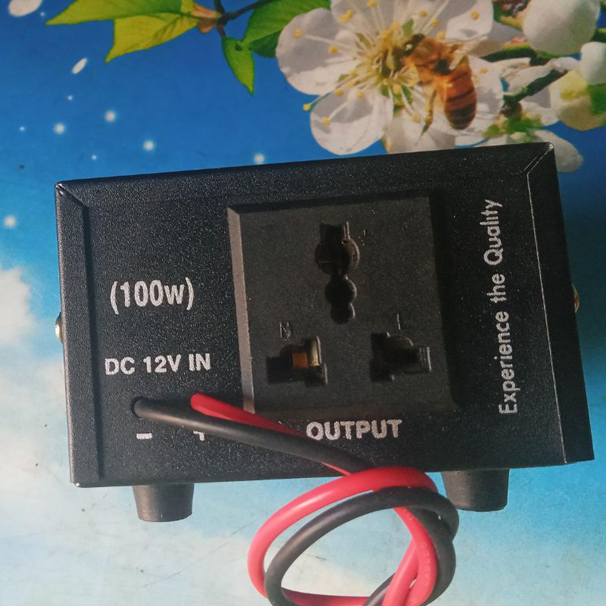 Mini Power Inverter/12V to 220V-100w/100W Inverter/Mini Inverter ...
