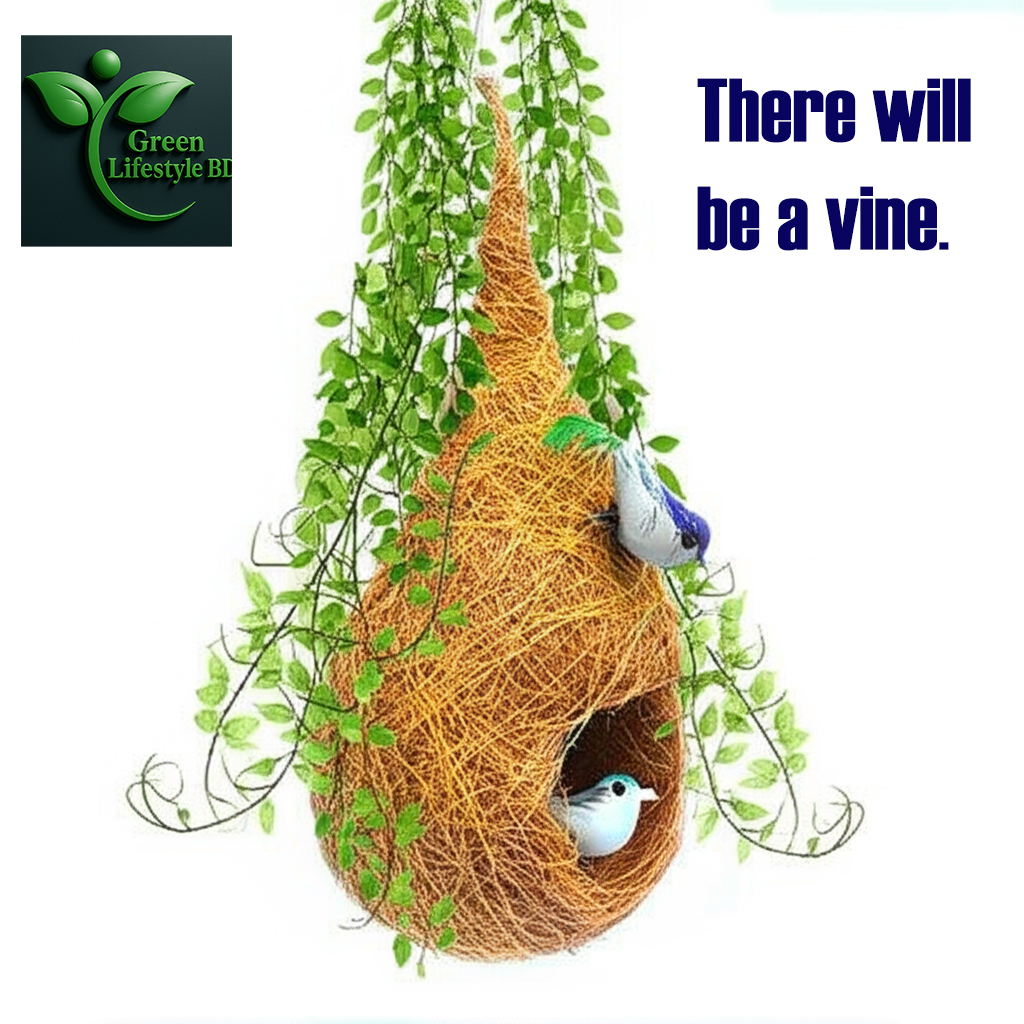 Big Size Handmade Babui bird nest - Babui Pakhir Basha Home Decoration ...
