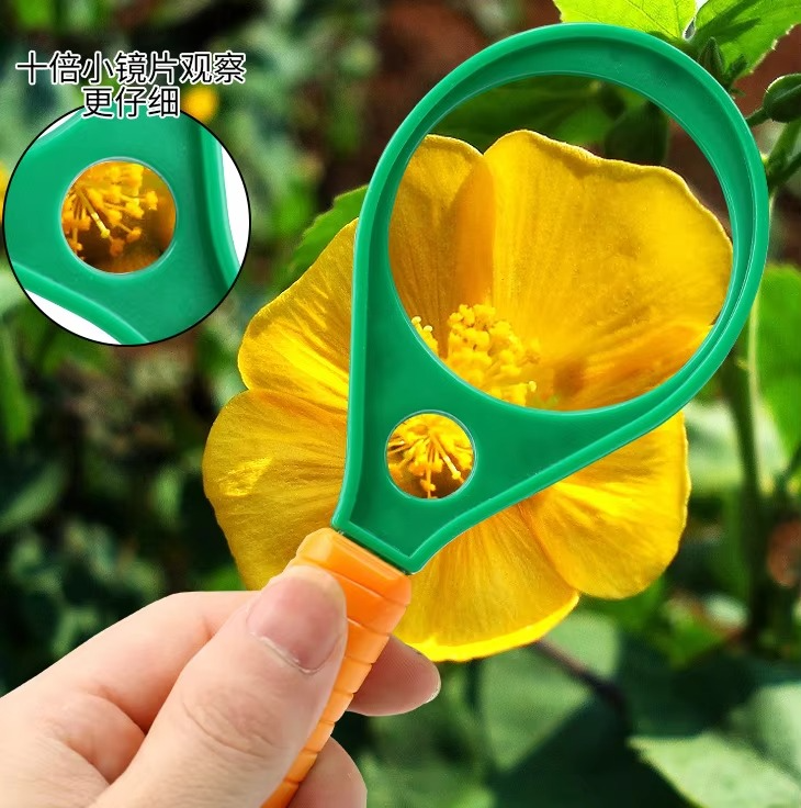 Kids Handheld Magnifying Glass | 4x & 6x Dual Lens | Educational ...