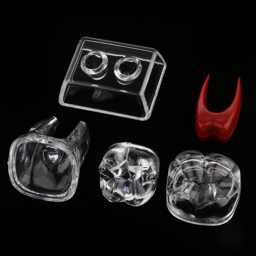 Dentistry Dental Crystal Base Hard Plastic Tooth Molar Model Study ...