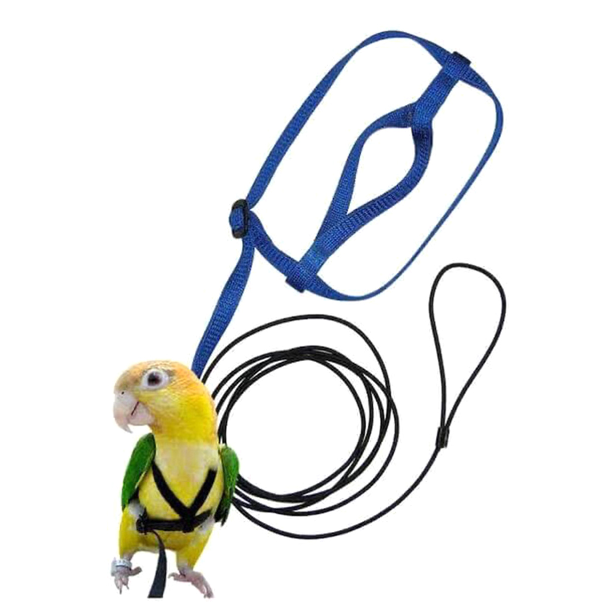 Adjustable Parrot Bird Harness Leash Anti-Bite Flying Training Rope Pet ...