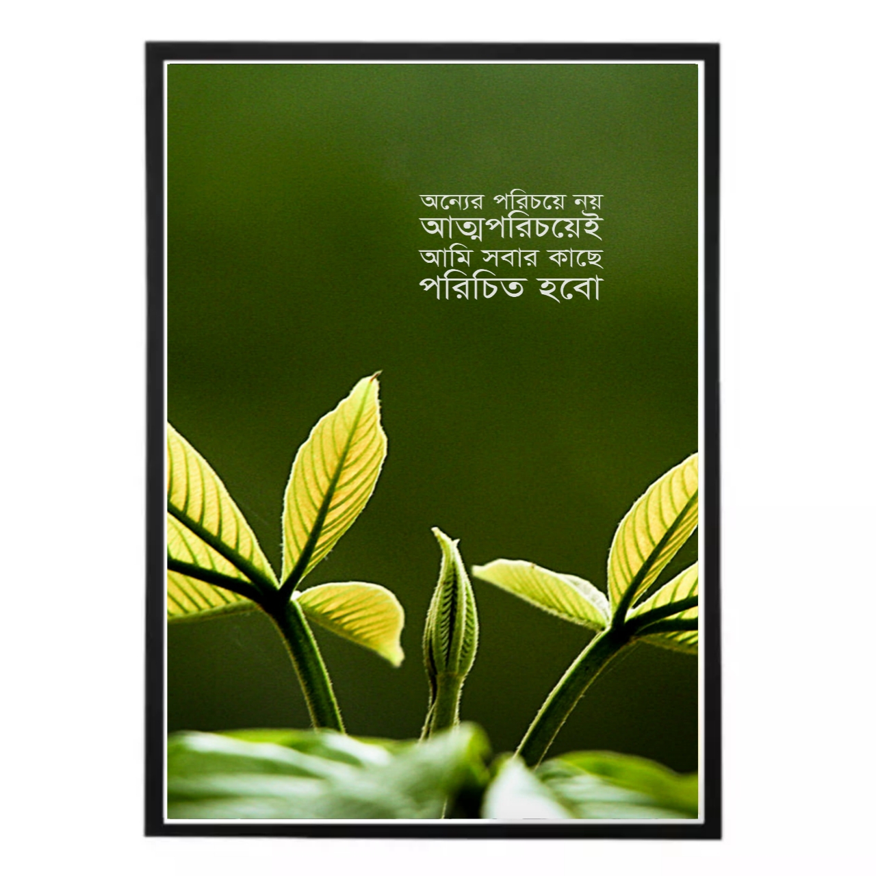 Bangla Motivational Poster With Wall Frame V2 | Daraz.com.bd