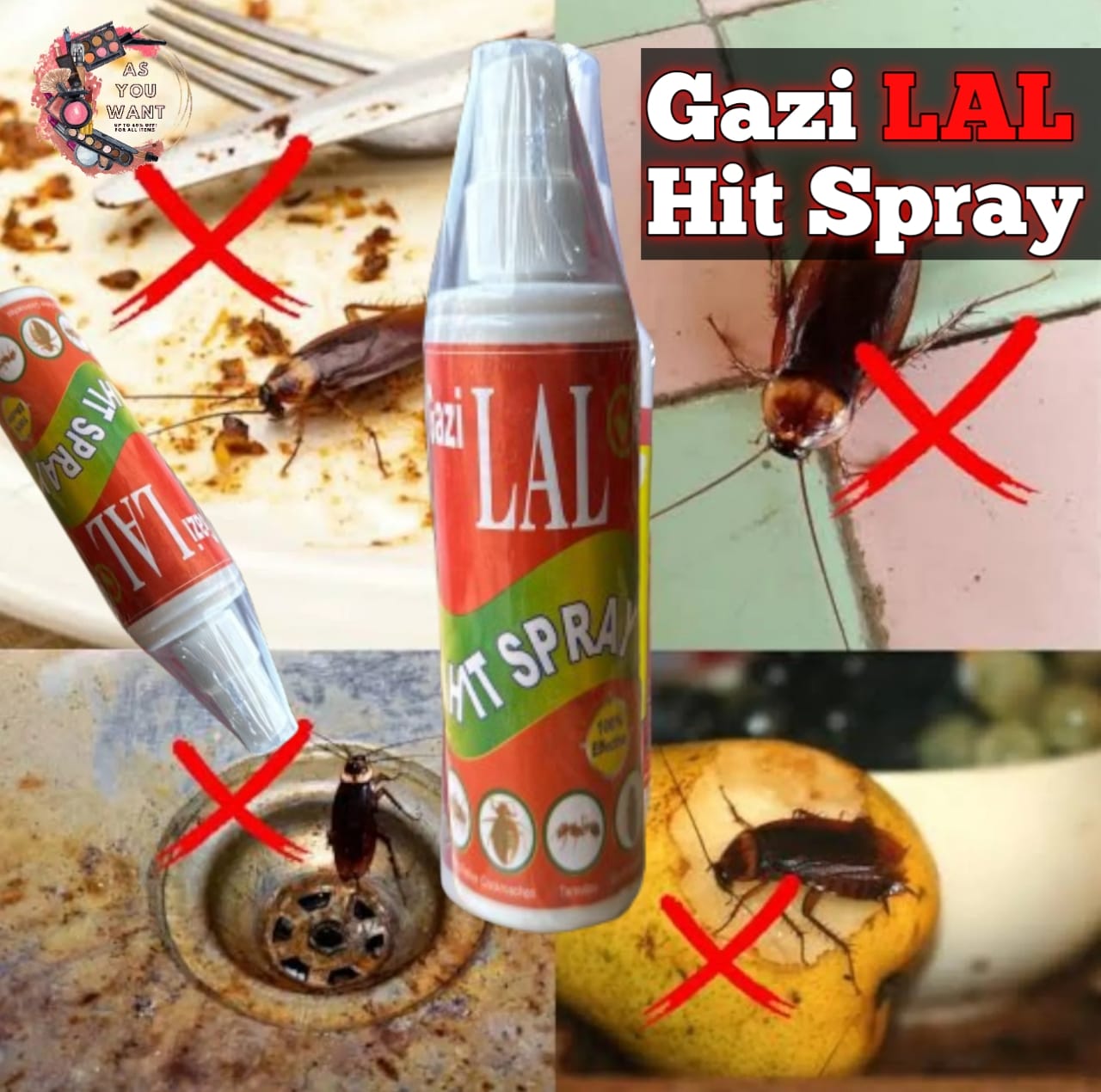 Charpoka & Bed Bug Killer Spray – 1000% Effective Insecticide ...