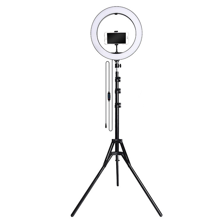 14-Inch Ring Light with Stand - Enhance Your Lighting Setup and Perfect ...