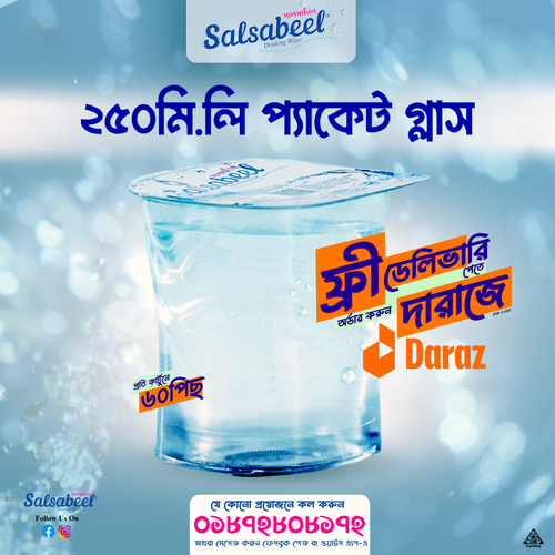 Salsabeel Pure and Fresh Drinking Water 250ML Bottle (15 Box- 15X60 ...