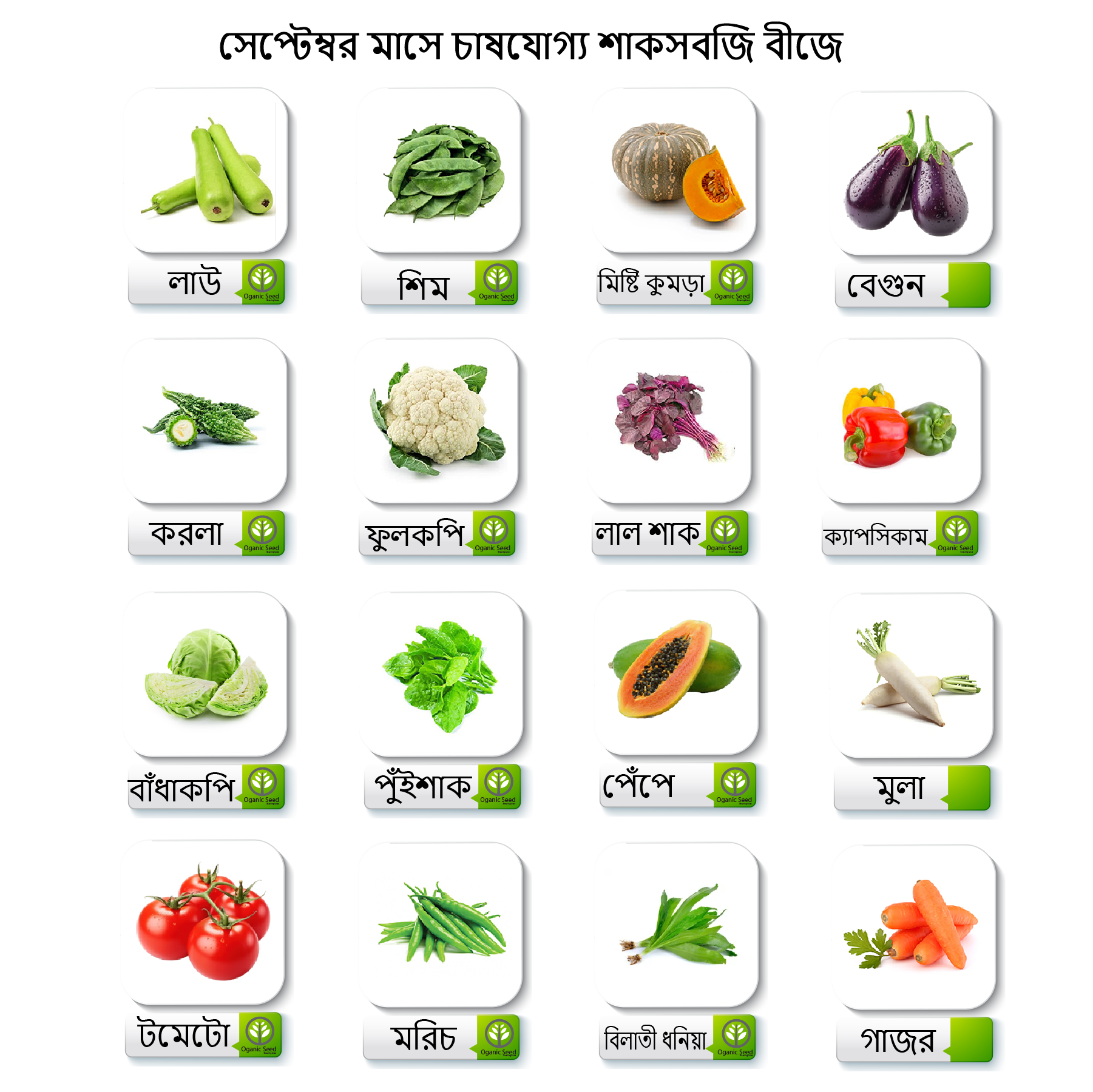 16 Types Vegetable seed Combo Pack|Okra (R), Bitter gourd, Cucumber ...