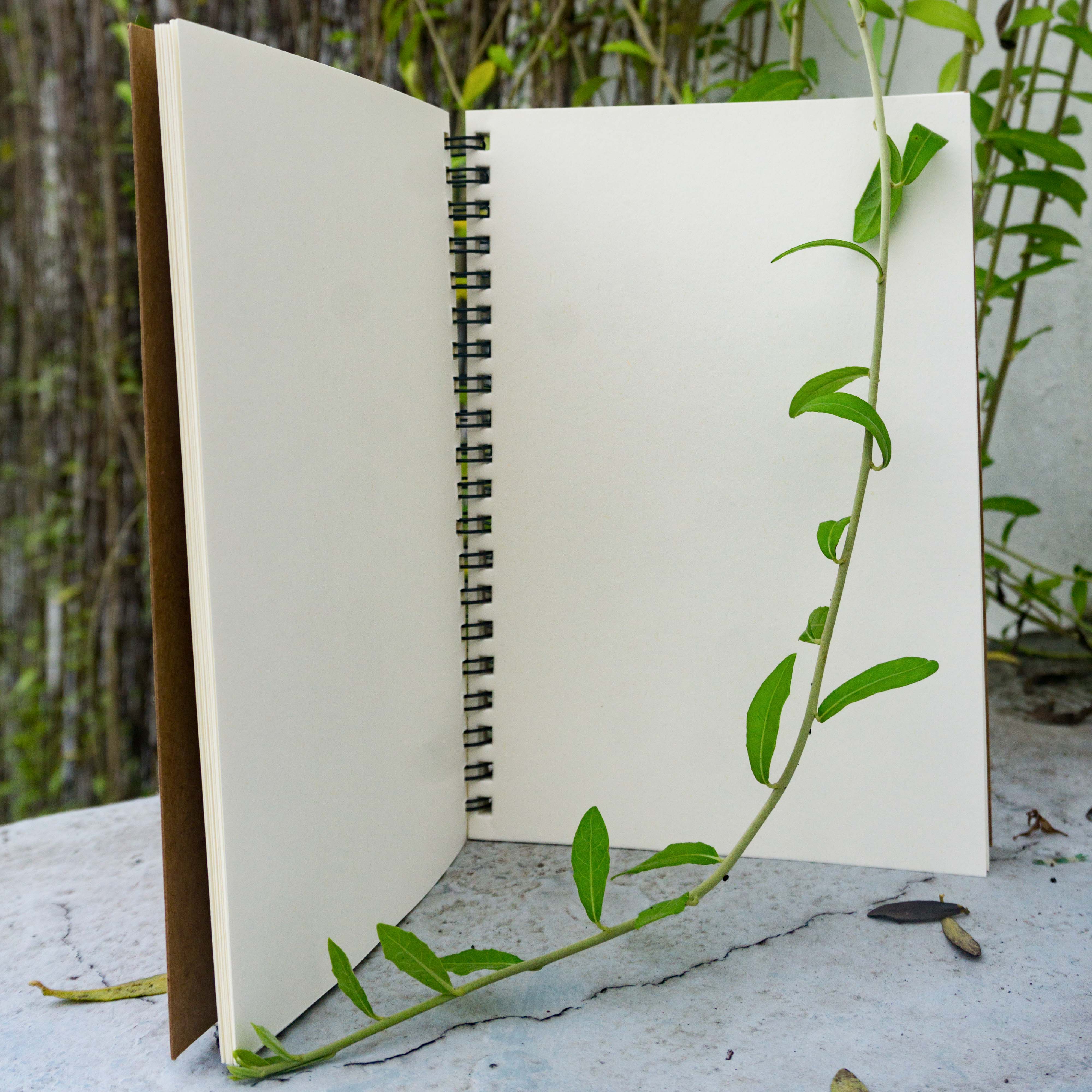 Executive Series Kraft Spiral Notebook | Daraz.com.bd