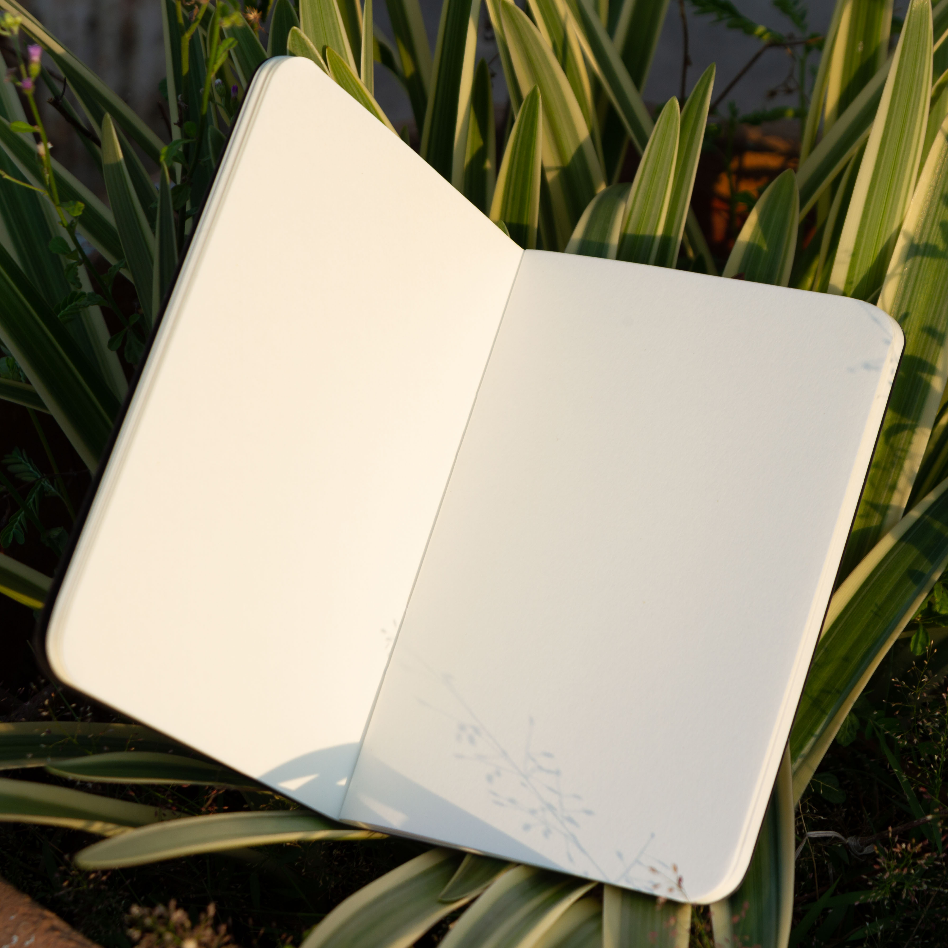 Pocket Book Black & Blue Notebook 2-Pack | Daraz.com.bd