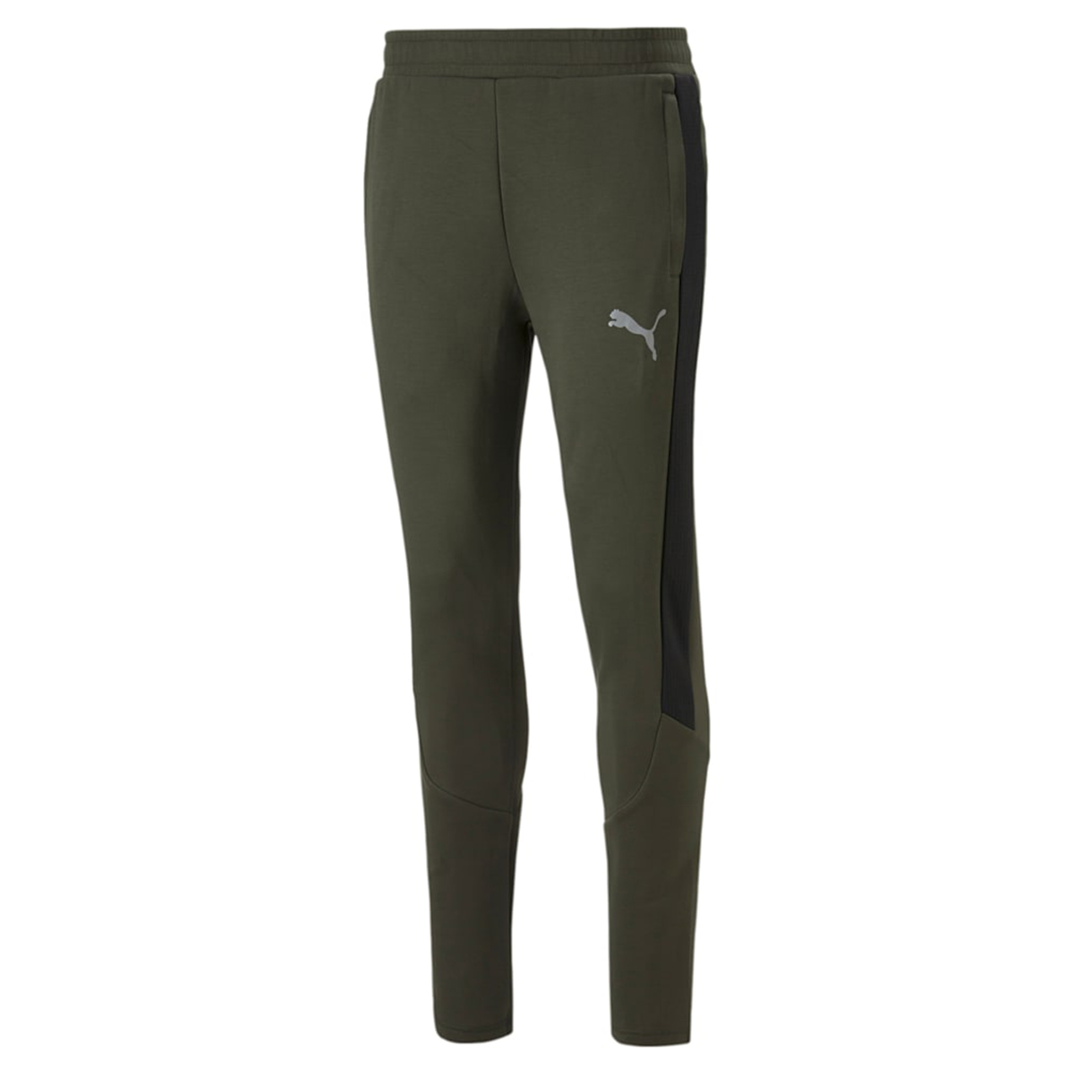 Puma Forest Night Apparel Evostripe Pants For Men