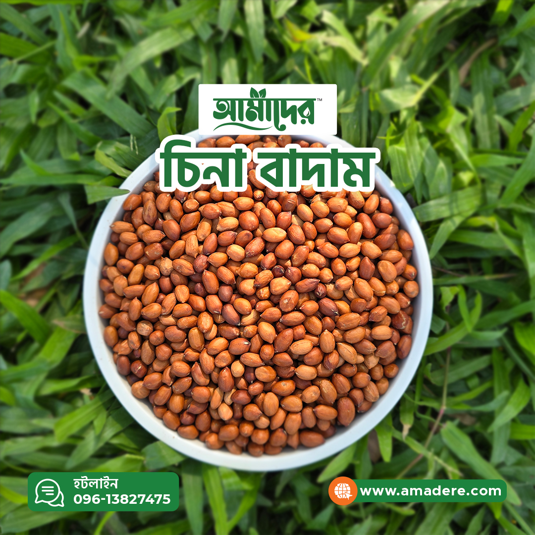 Pea-nuts Fresh Natural Premium Quality (China Badam) 500g | Daraz.com.bd