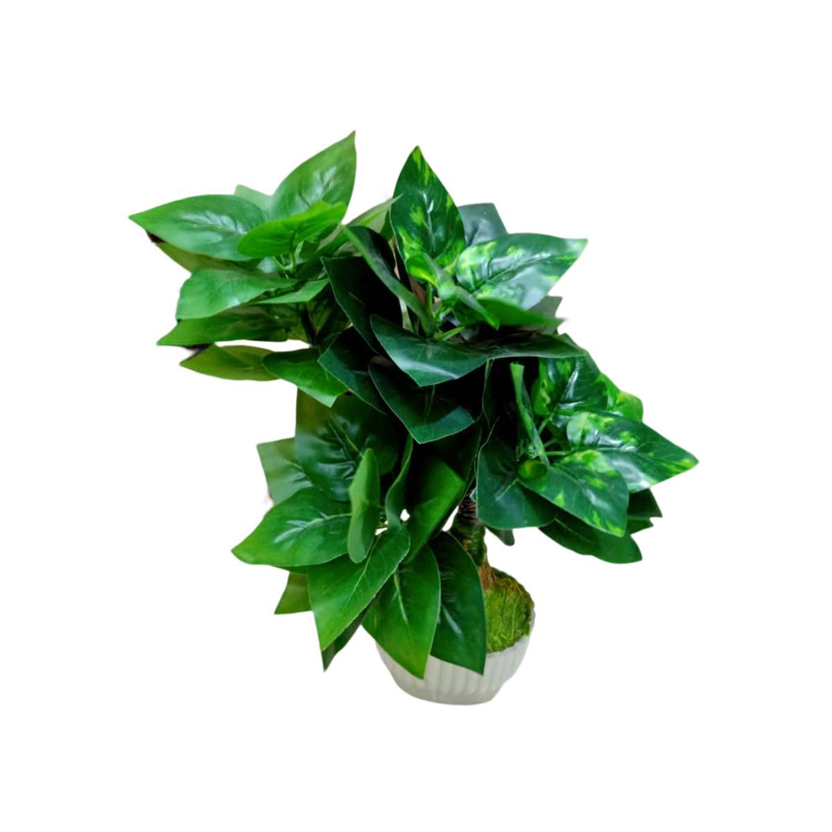 Plastic Plant Tree -01 | Daraz.com.bd