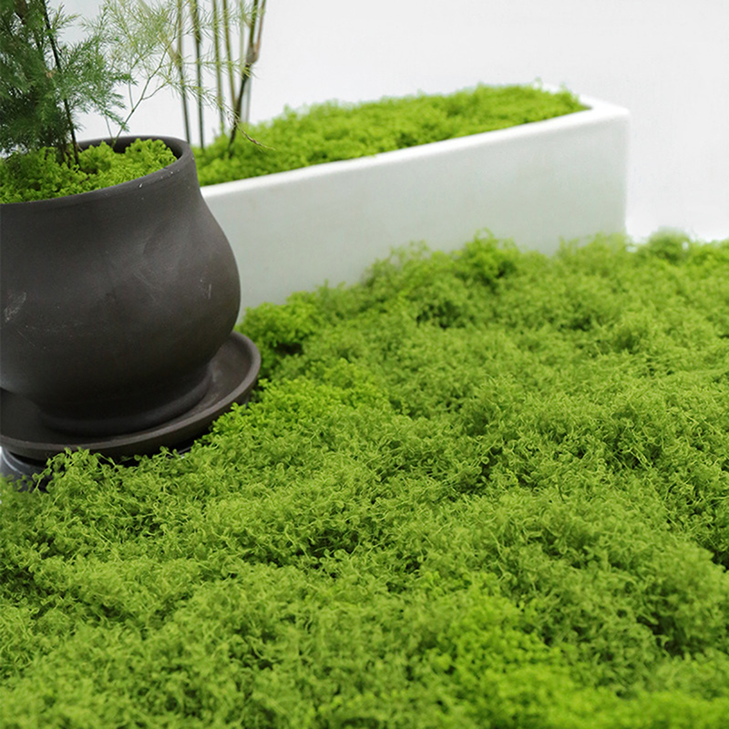 1PC DIY Artificial Fresh Green Moss Lawn Micro Landscape Silk Moss ...