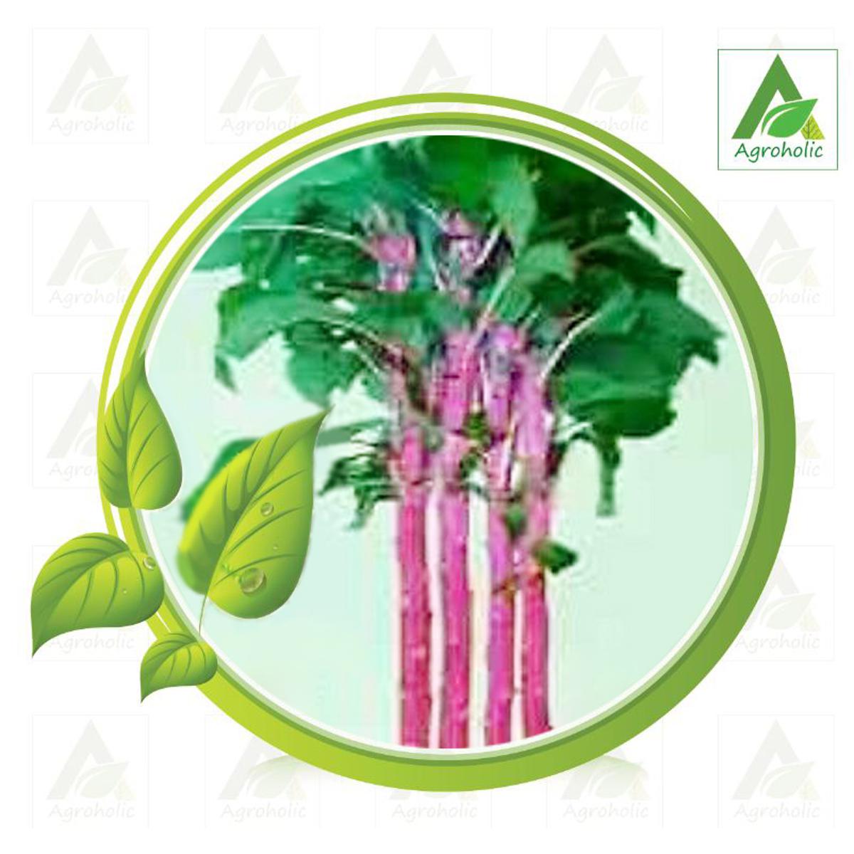 Red Data Shak -15 gm | Daraz.com.bd