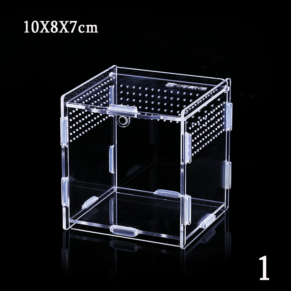 Acrylic Snakes Insect Lizard Hatcher Frogs Reptile Incubator Breeding ...