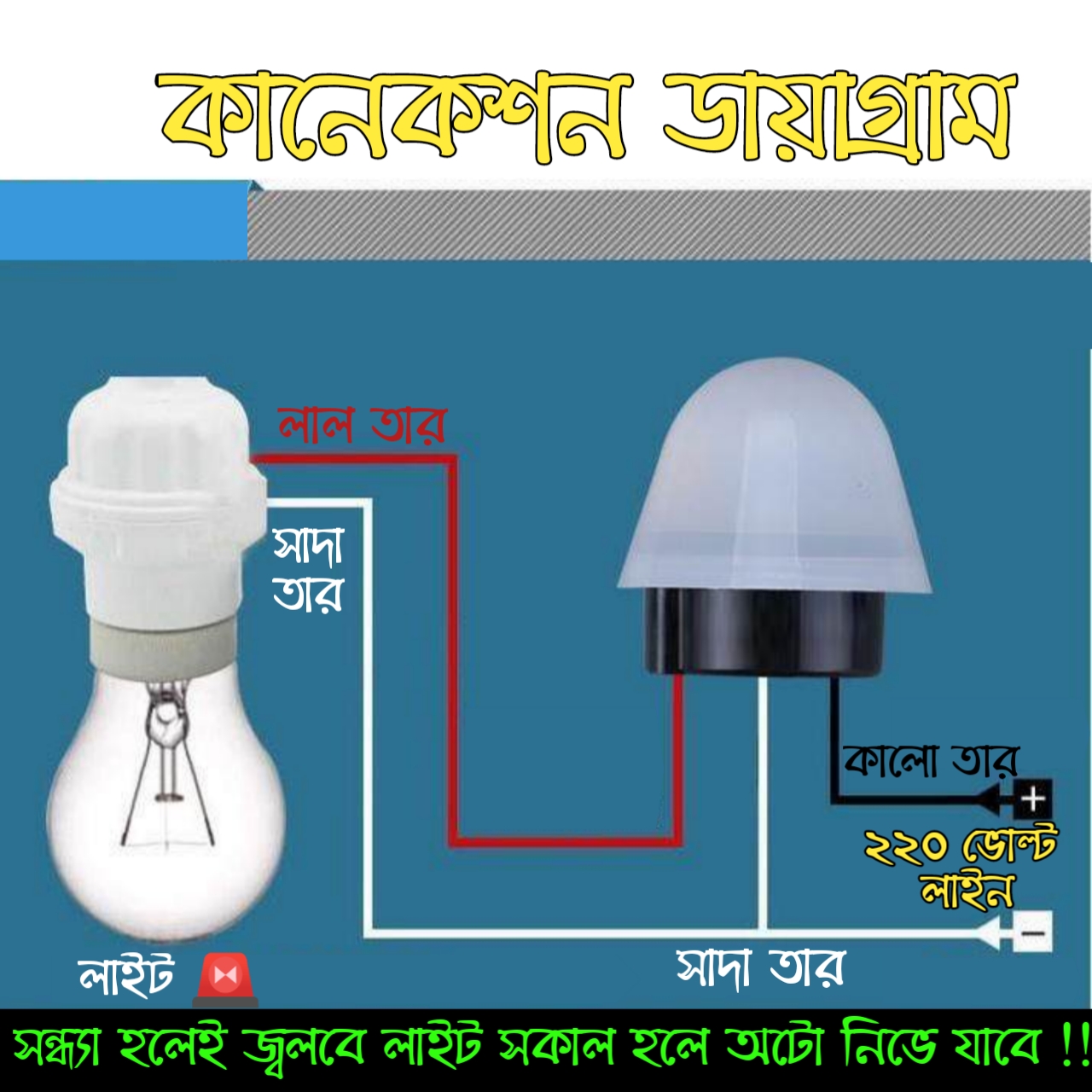 Automatic Day Night switch AC 220V, Day and Night on and Off Photocell ...