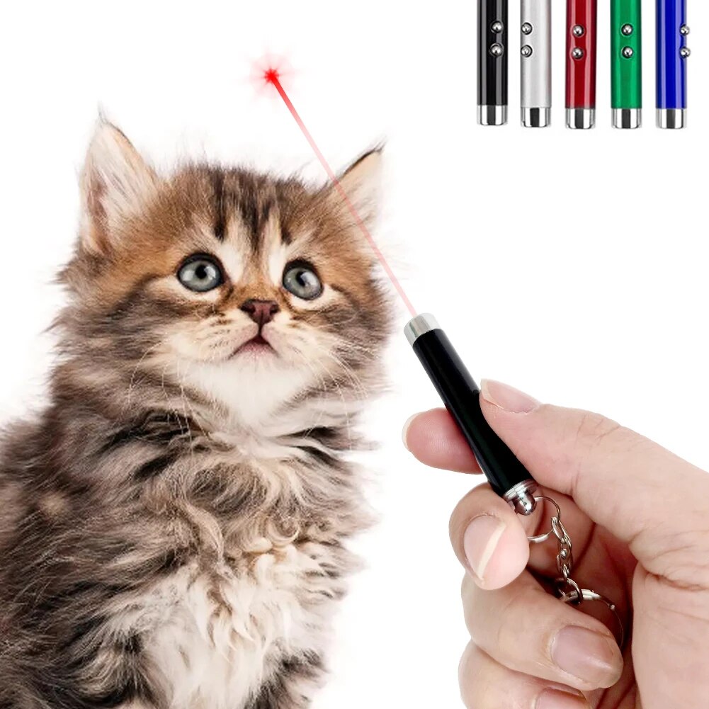 4mW Keychain Laser Pointer 2 In 1 Light Lazer Red Laser Lazer Pointer ...