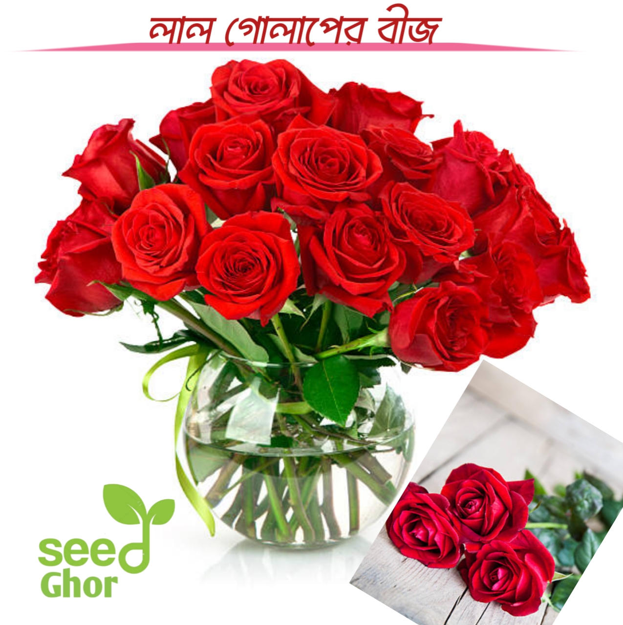 Red rose flower seeds 7 pice + gift | Daraz.com.bd