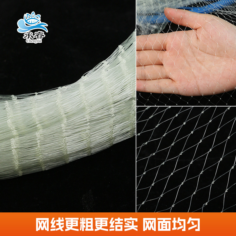 Chengrui Casting Net Multi-Specification Frisbee Fishing Tools Seine ...