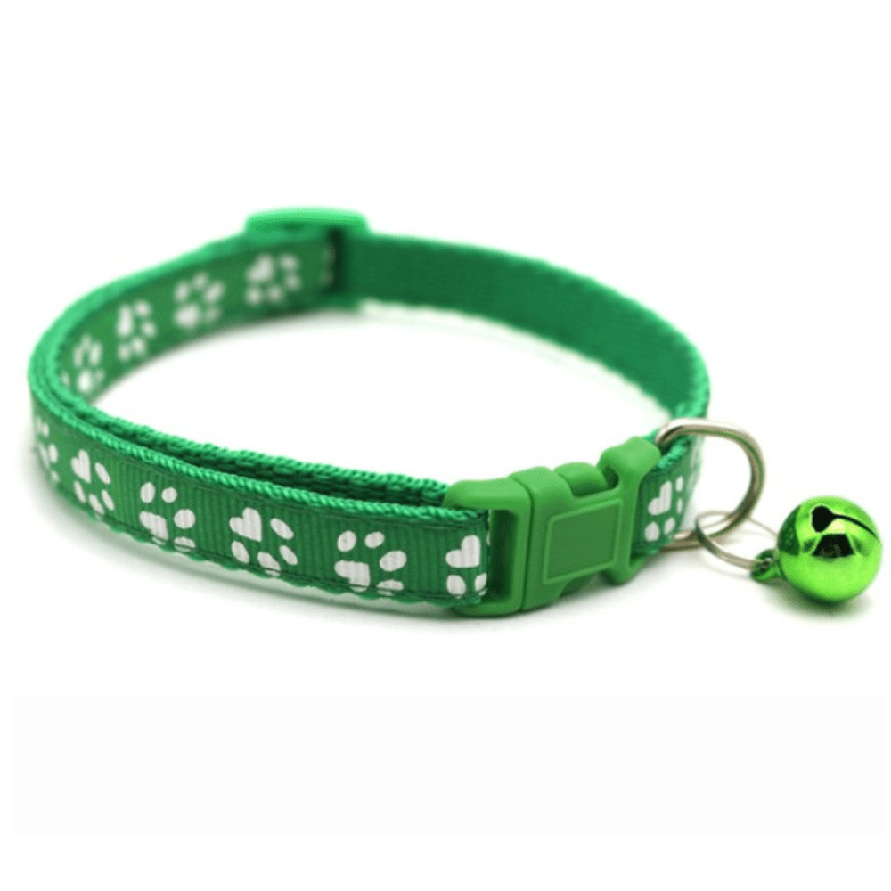 Customizable pet name tag | Daraz.com.bd