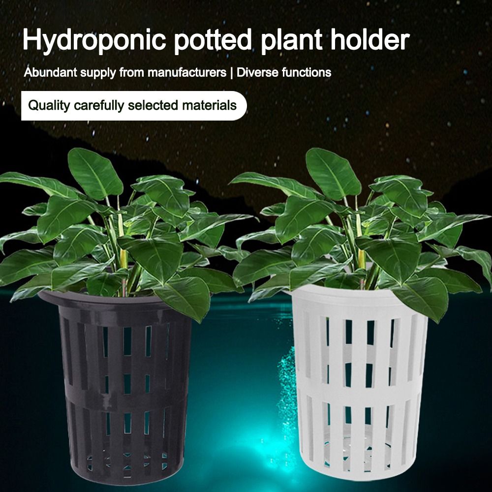 New Water Plant Landscape Fish Tank Hydroponic Planting Basket Planted ...