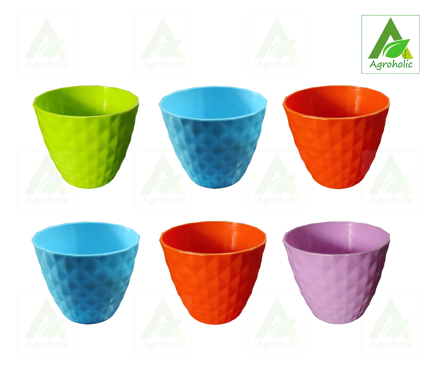 10 Cm Succulent Tub -6P - Flower Tub | Daraz.com.bd