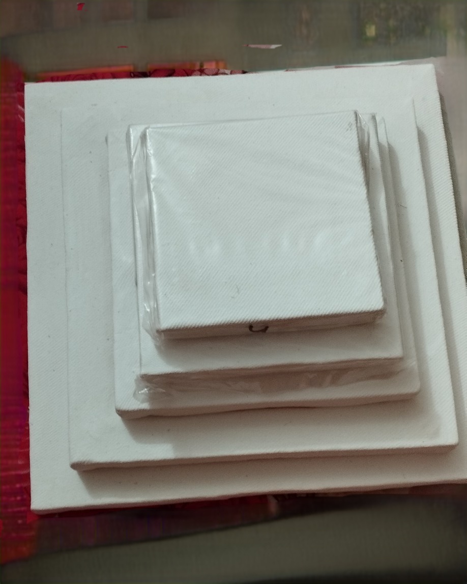 Premium Quality White Blank Canvas Set, Artist Canvas Board Wood Painti ...