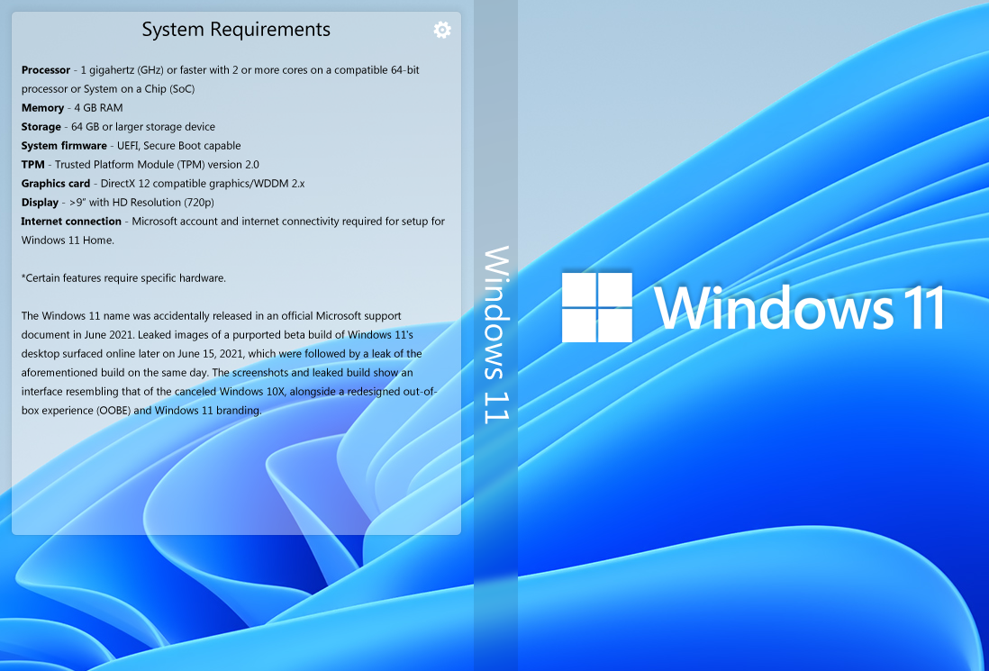 Windows 11 ((Professional Disk)) DVD | Daraz.com.bd