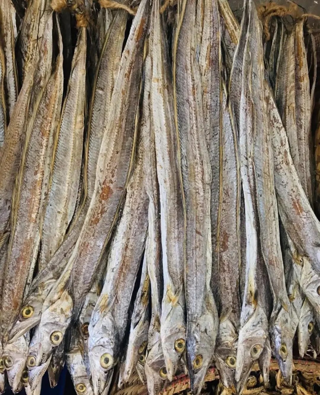 Coxbazar er Churi Dry Fish 100gm big size