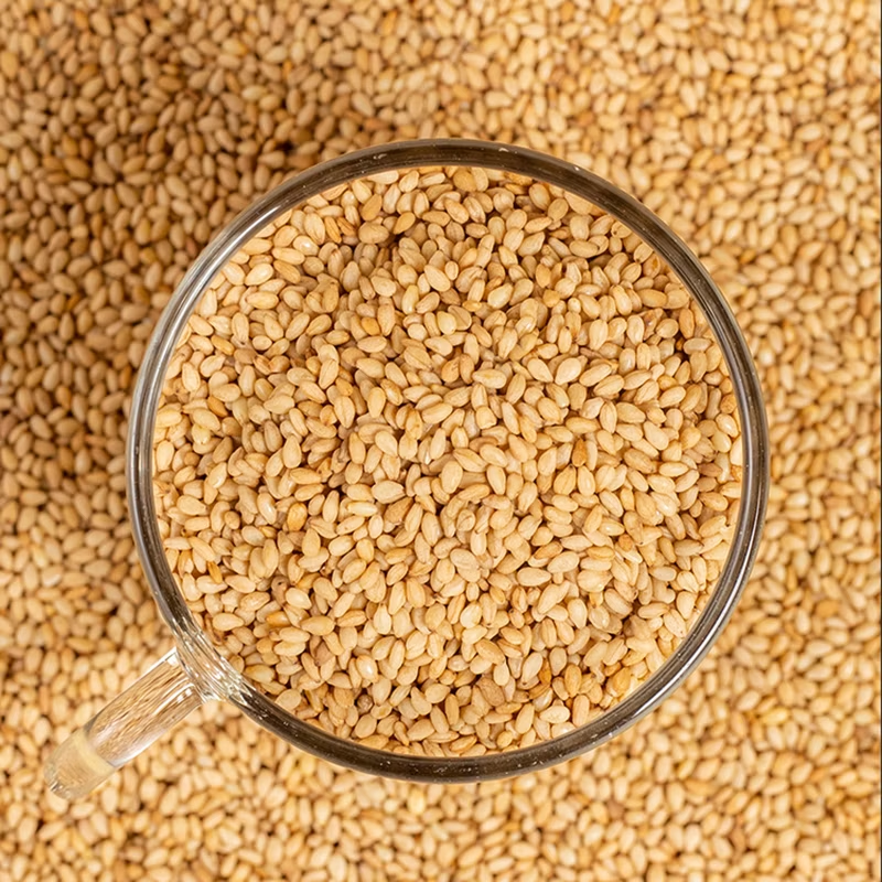 Roasted White Sesame/ Dry Fruits/ Dry Fruits/ Dry Food/ Dry Food/ Til ...