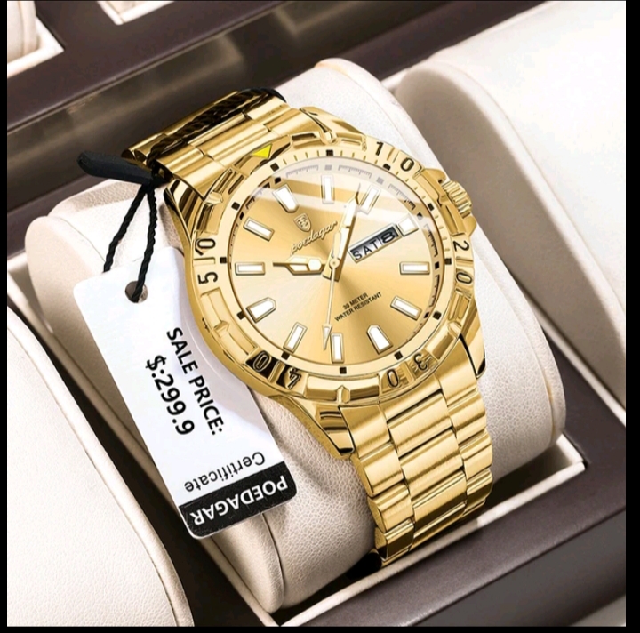 POEDAGAR 959 Luxury Quartz Man Watch Waterproof Luminous Date Week Men ...