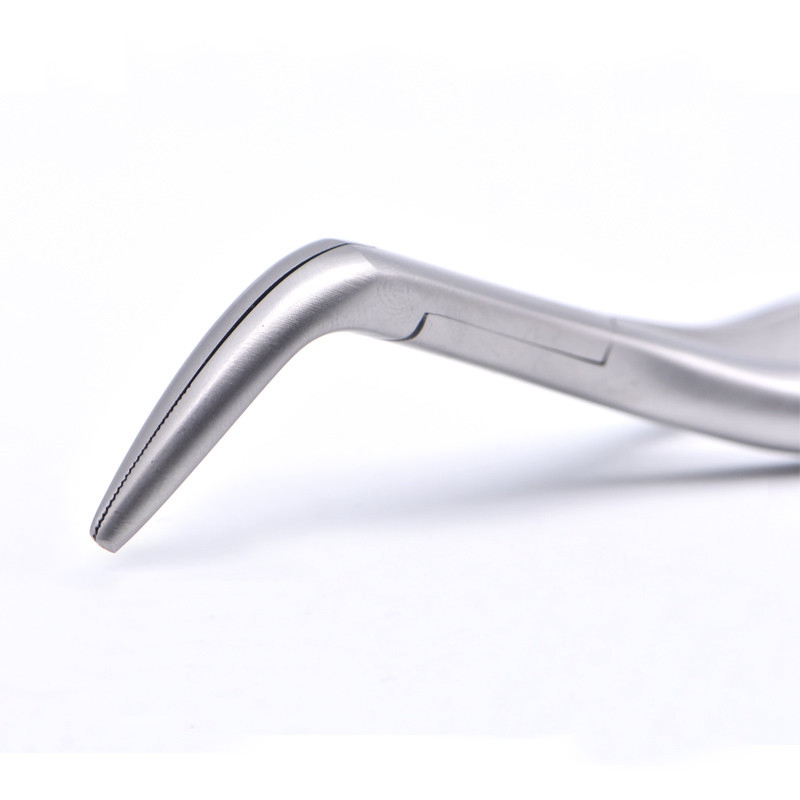 【Pedawu】 Root Invasive Extraction Forcep Instrument Curved Maxillary ...