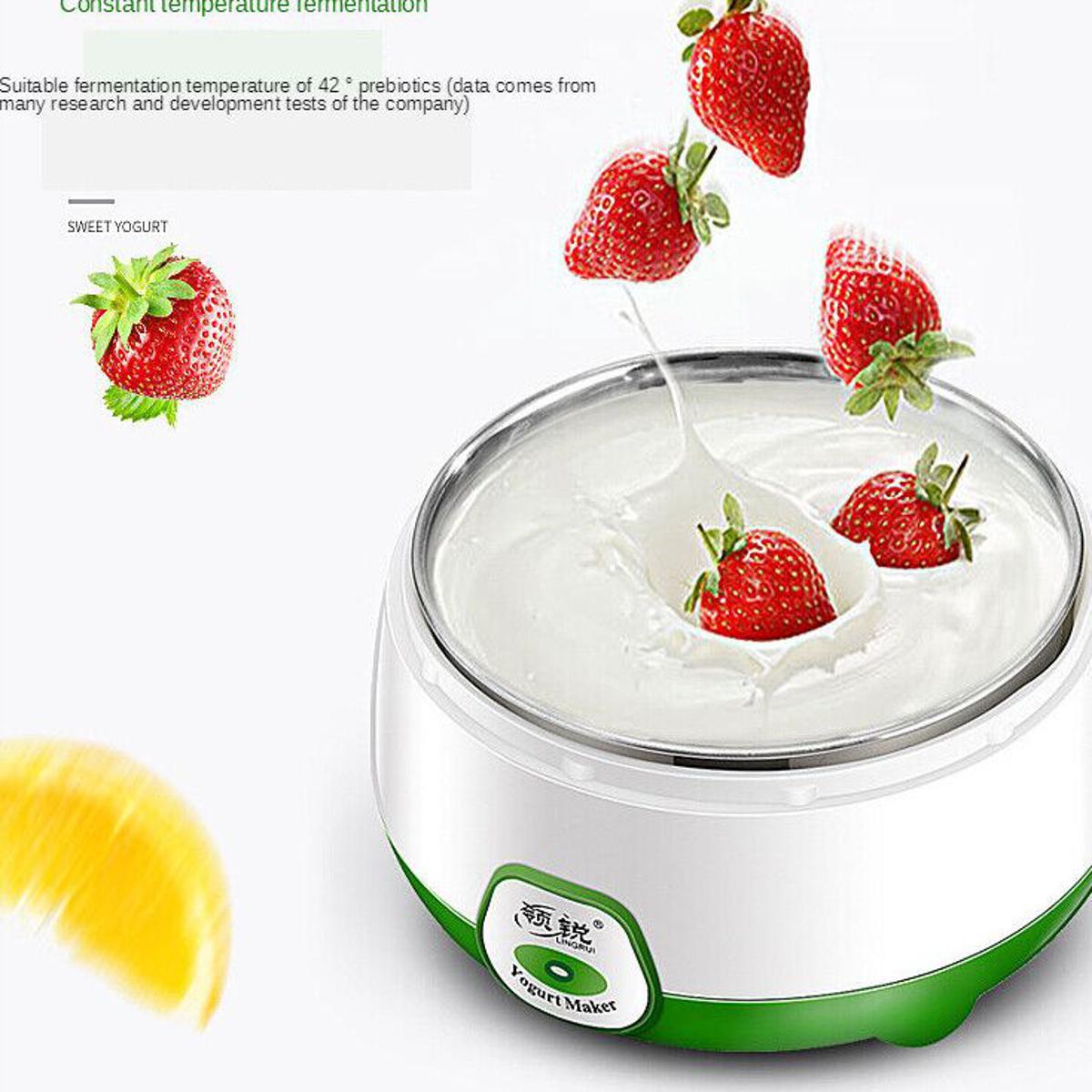 Stainless Steel 1L Electric Automatic Yogurt Maker Machine/Curd Maker ...