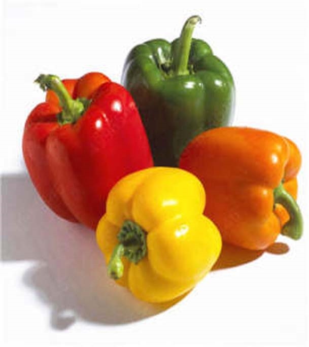 10 Pcs All Season Multi Colour Capsicum Vegetable Seeds | Daraz.com.bd