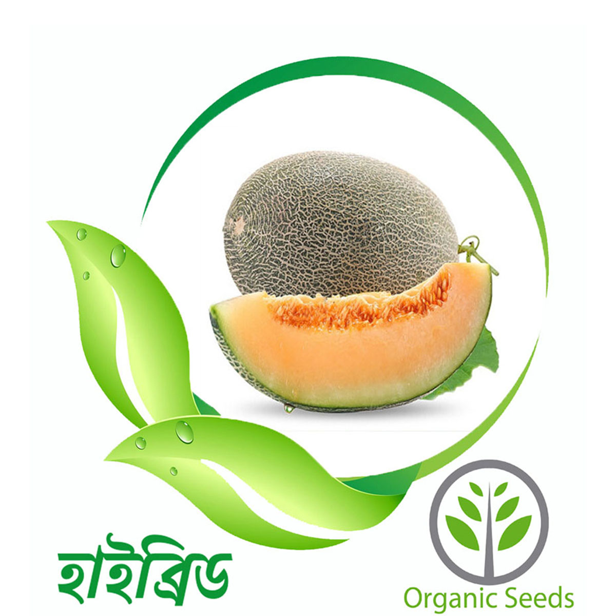 Fruit Rokmelon Seeds - 05 piece | Daraz.com.bd