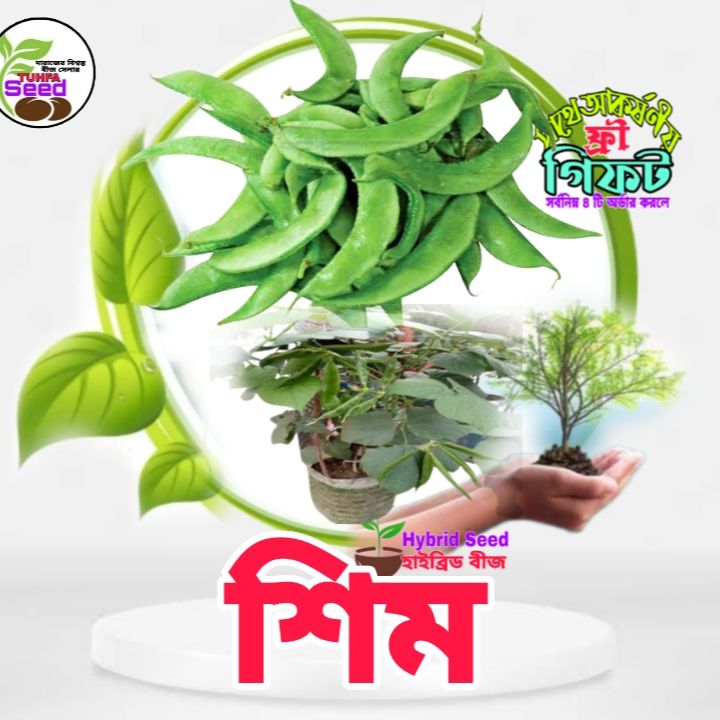 Hybrid Green Sim Seed 5 Pcs | Daraz.com.bd