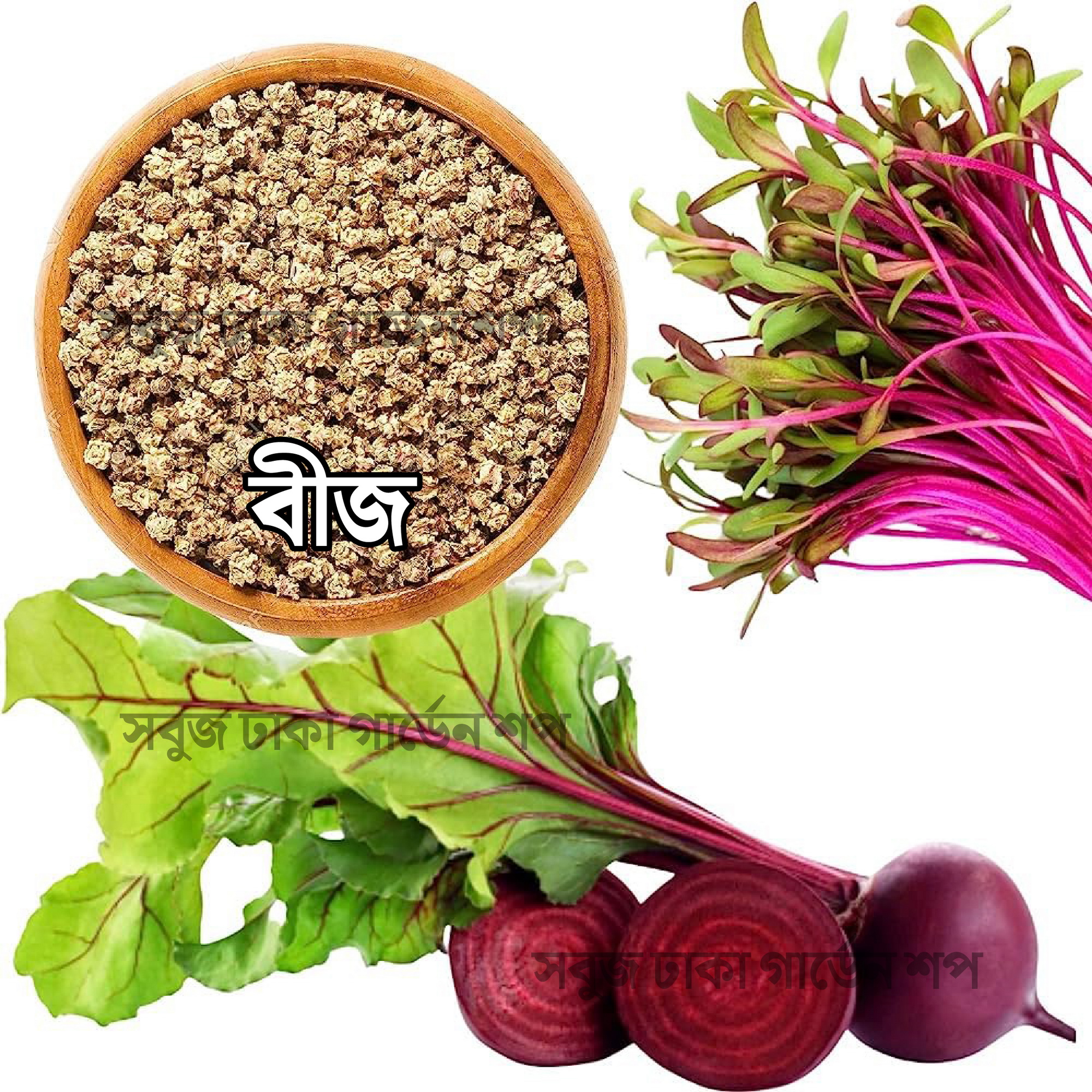 Beetroot Seed - Repack 1gm | Daraz.com.bd