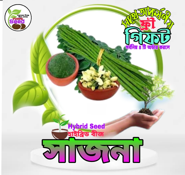 Hybrid Sajna seed 5 pcs | Daraz.com.bd