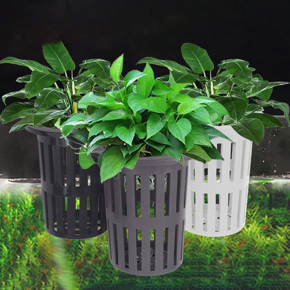 New Water Plant Landscape Fish Tank Hydroponic Planting Basket Planted ...