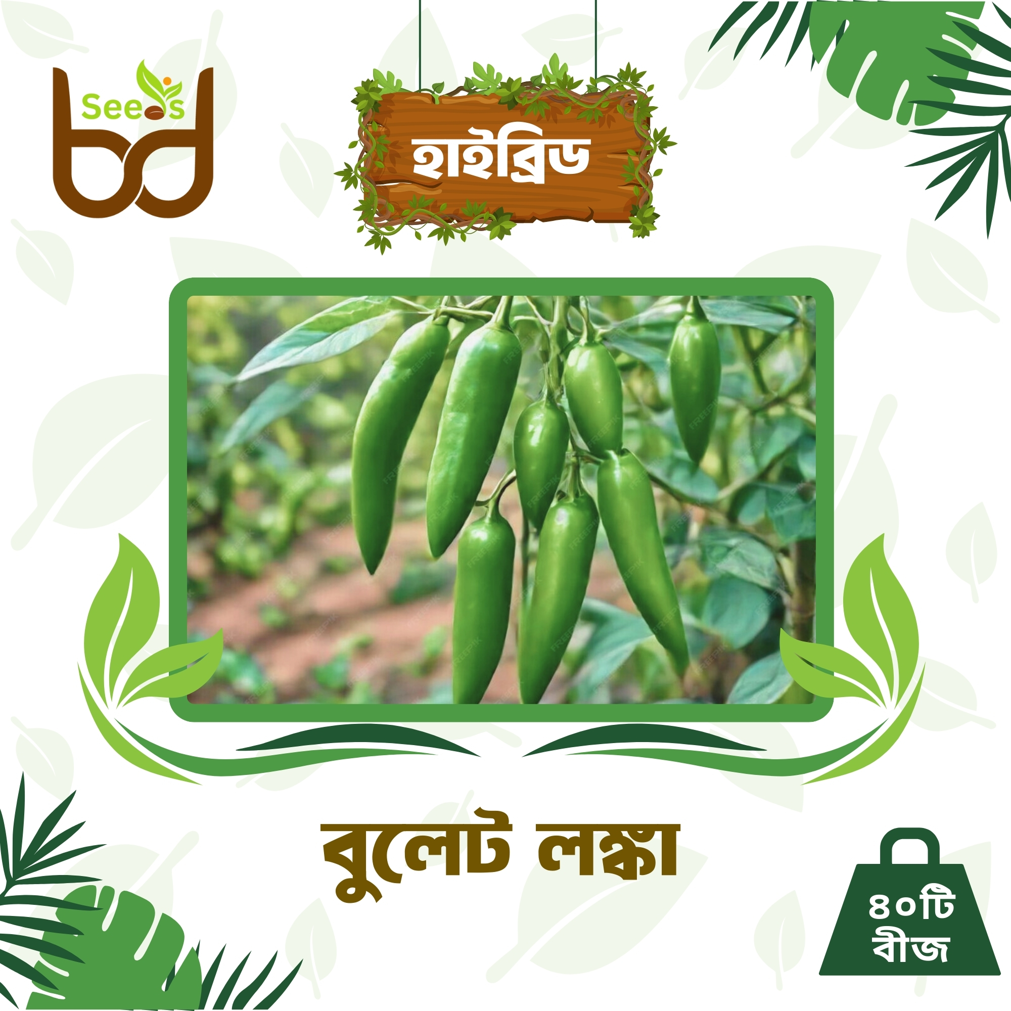 Bulet chilli Seed - 40 Seeds | Daraz.com.bd