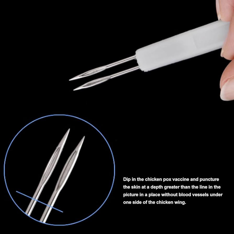 Double Needle for Poultry Chicken Fowl Pox Vaccine Vaccination - Fowl ...