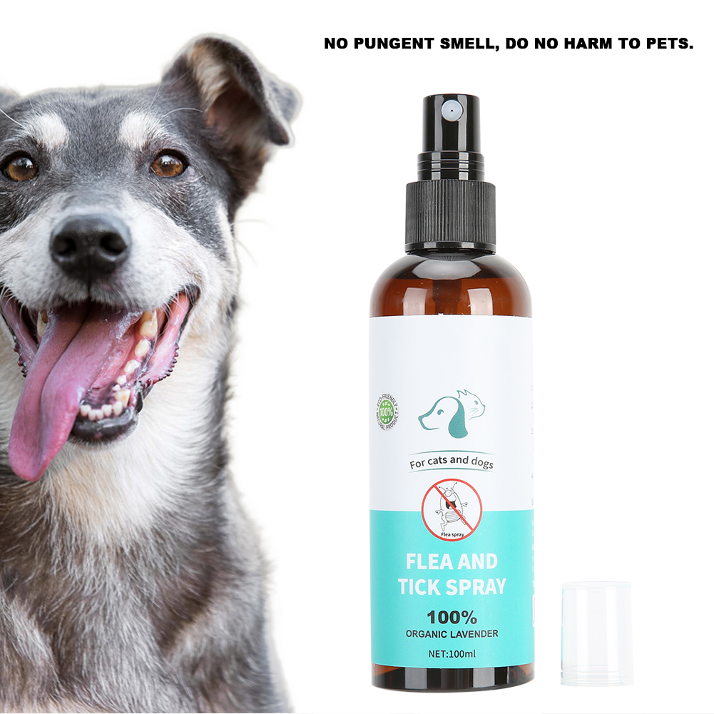 100ml Pets Mist Spray Flea Lice Insect Killer Liquid Cat Dog Skin ...