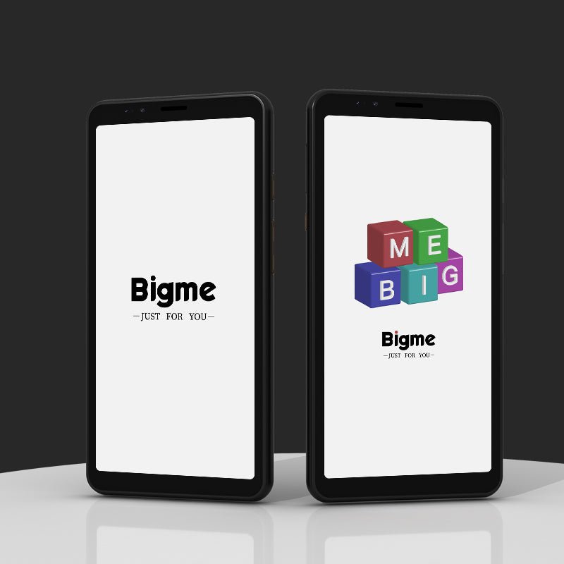 Bigme Hibreak E ink Smartphone electronic Ebook Reader 5.84 E-ink ...