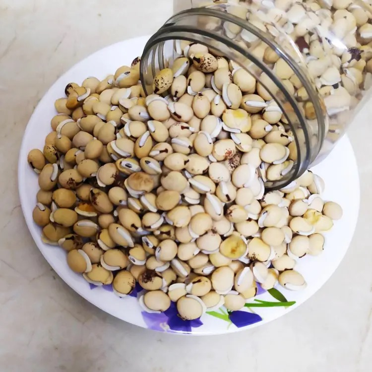 Bean Seed White/ Simer Bichi Sada- 500 gm | Daraz.com.bd