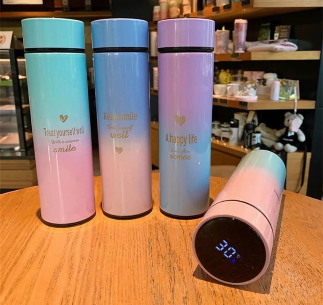 Stainless Steel Smart Water Bottle Temperature Display Travel Mug Smart ...