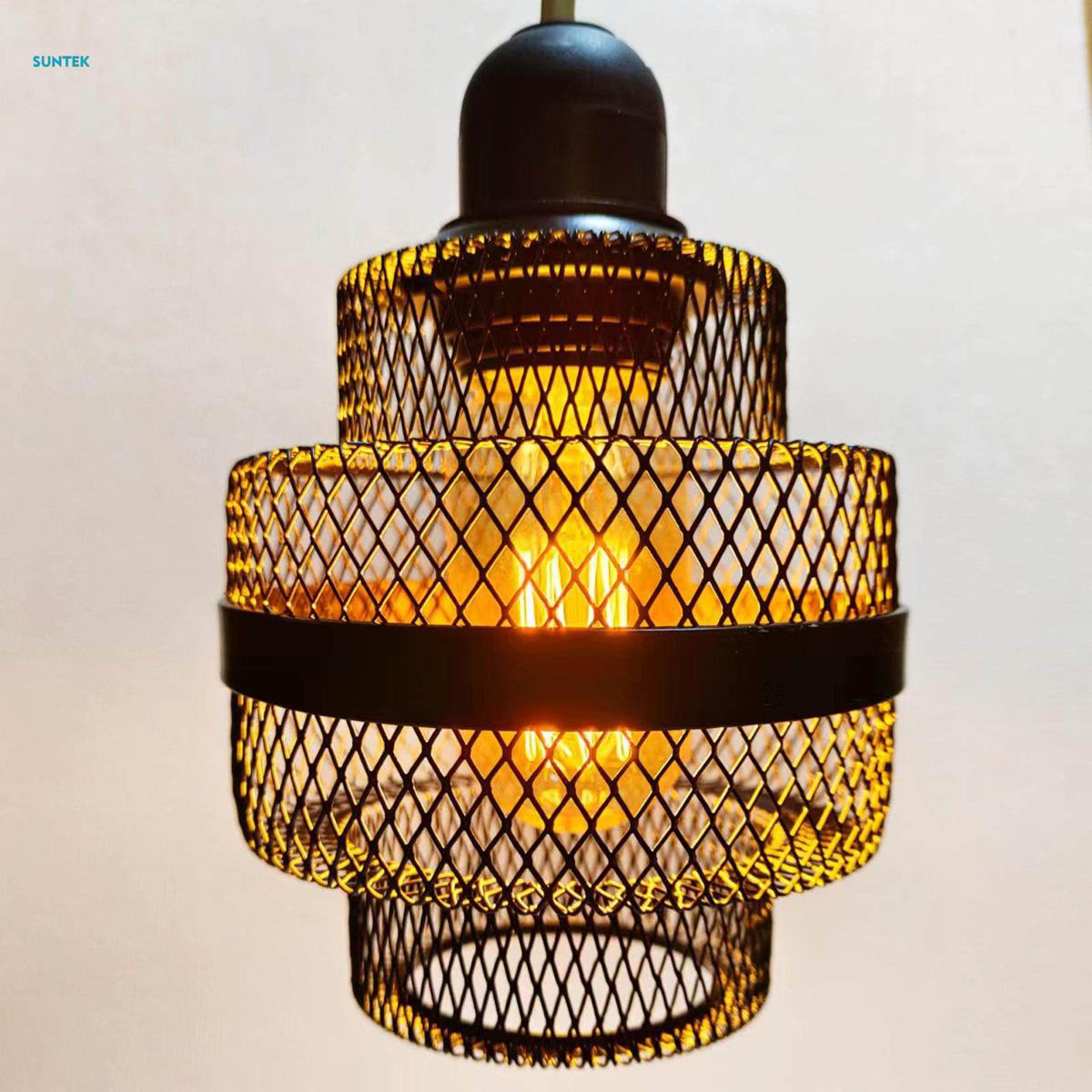 Ceiling Light Fixtures Lamp Shade Metal Wire Light Cage Fitting, Hollow ...