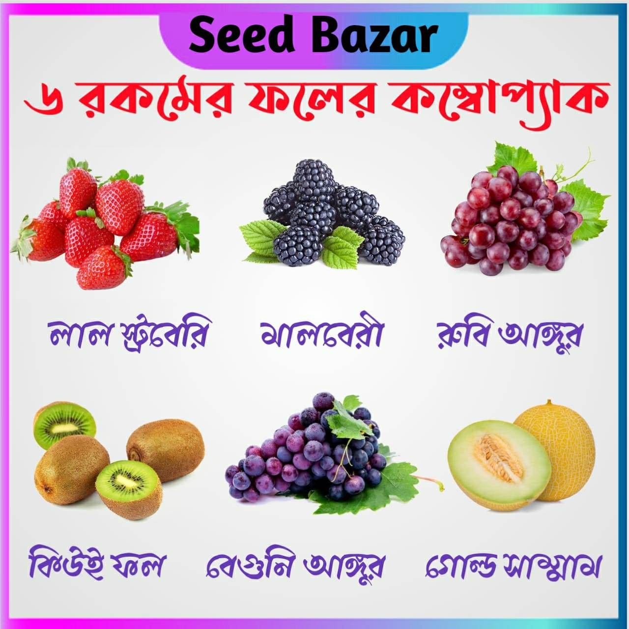 All Season Fruits Seeds Combo Pack 25 Pis + Gift | Daraz.com.bd