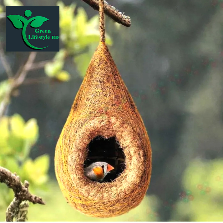Big Size Handmade Babui bird nest - Babui Pakhir Basha Home Decoration ...