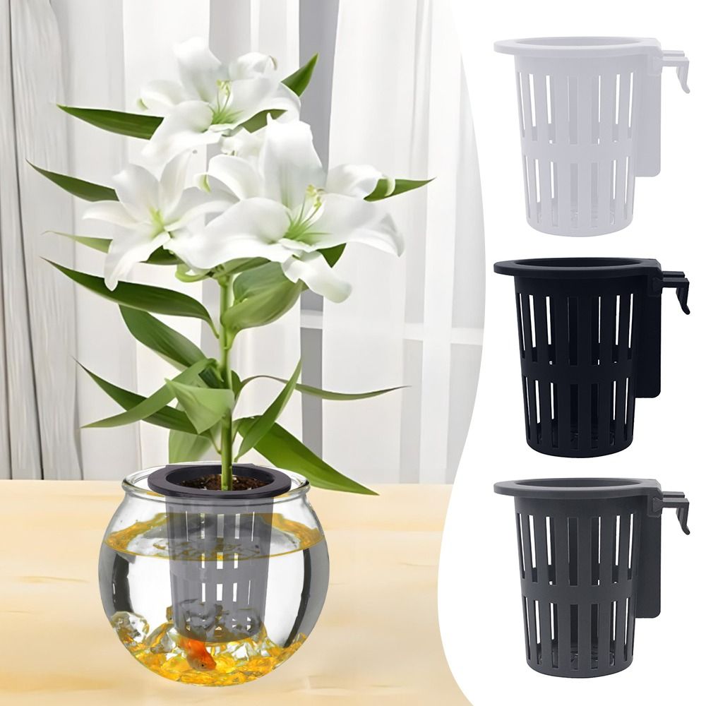 New Water Plant Landscape Fish Tank Hydroponic Planting Basket Planted ...