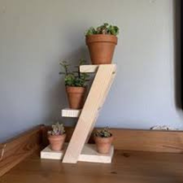 Beautiful Wooden Tree Plant Self Stand without Ceramic Pots (H:18"/L-12 ...