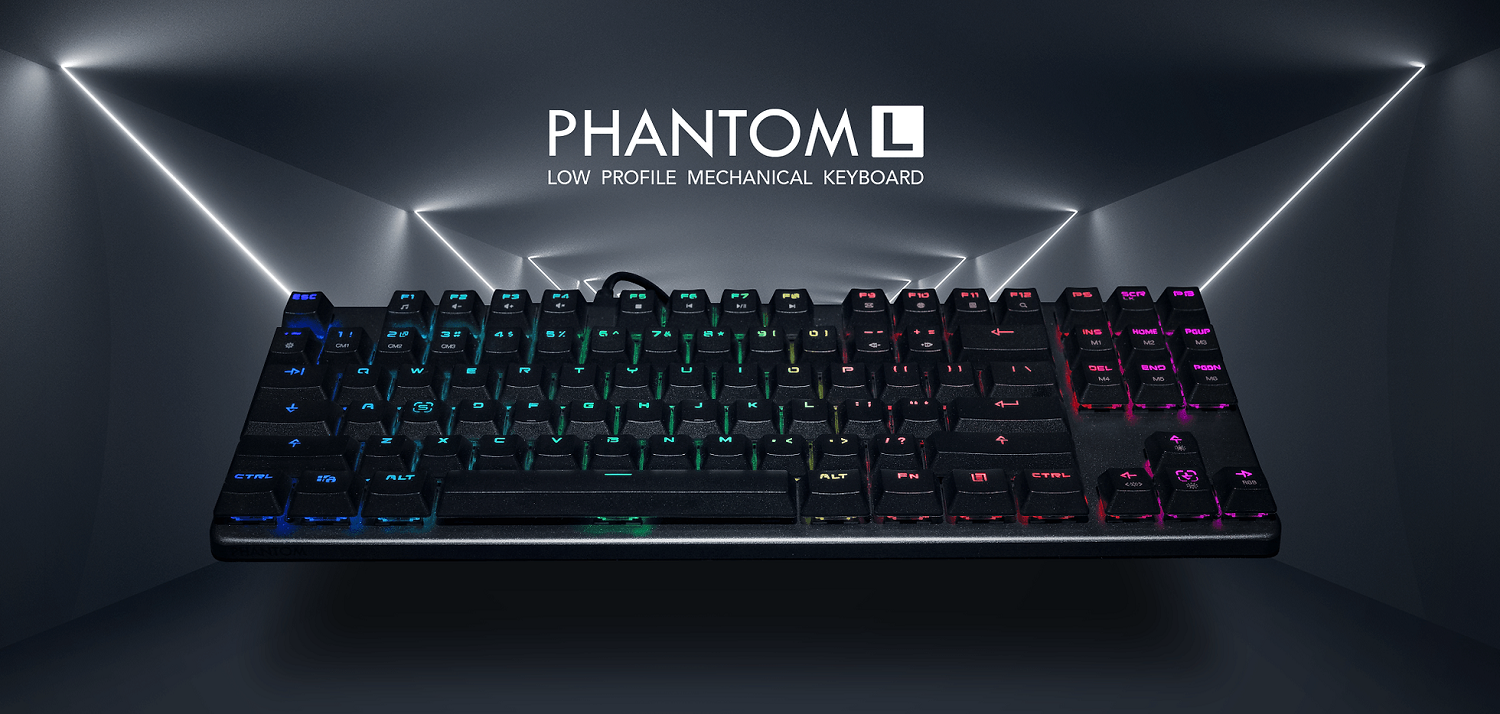 Tecware Phantom L, Low Profile Hotswappable Mechanical Keyboard (SWITCH-BROWN/RED) plug and play ...